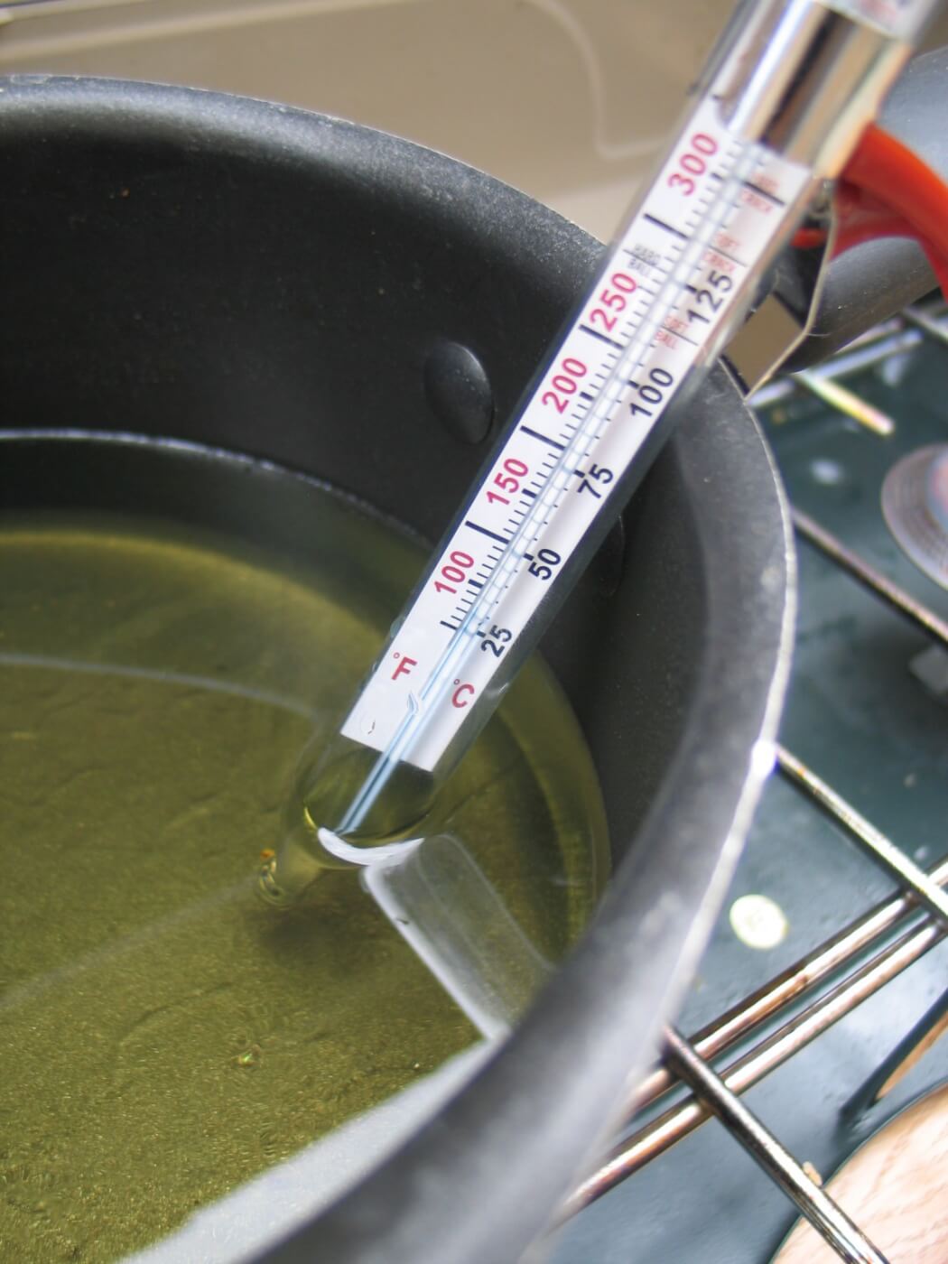 BioFuel: 9 Steps To Make Your Own - Diesel World