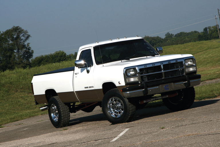 Farm Truck: Super Clean First-Gen W-250 - Diesel World