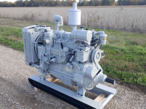 THE SHIP'S CAT - Diesel World