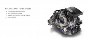 OLDSMOBILE 350 V8 - Diesel World