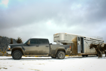 DEDICATED TO A DINOSAUR - Diesel World