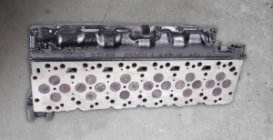 GOLD RUSH - Diesel World