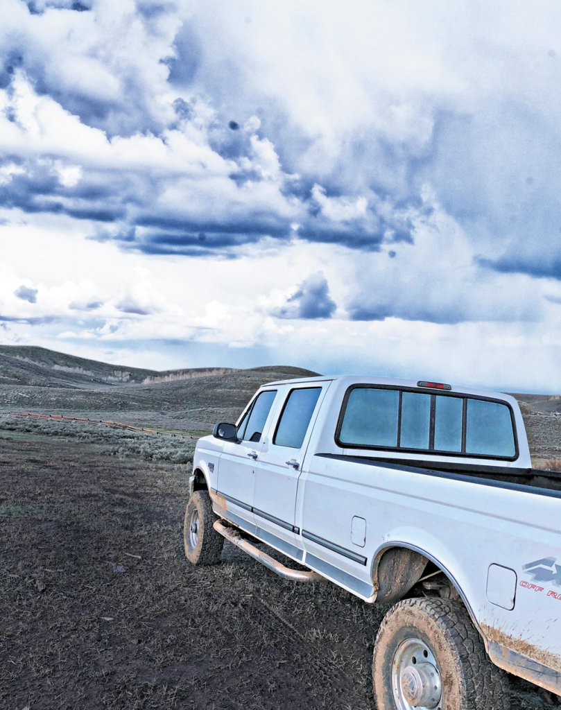 Repairing A DEF-Contaminated Fuel System - Diesel World