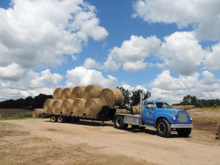 Vintage Smoke - Ford 6.9L IDI - Diesel World