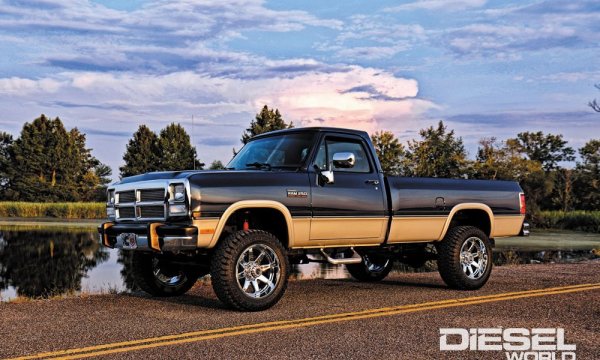 Top Diesel Performance Upgrades: From Bosch VP44 Pumps to ProMaxx ...