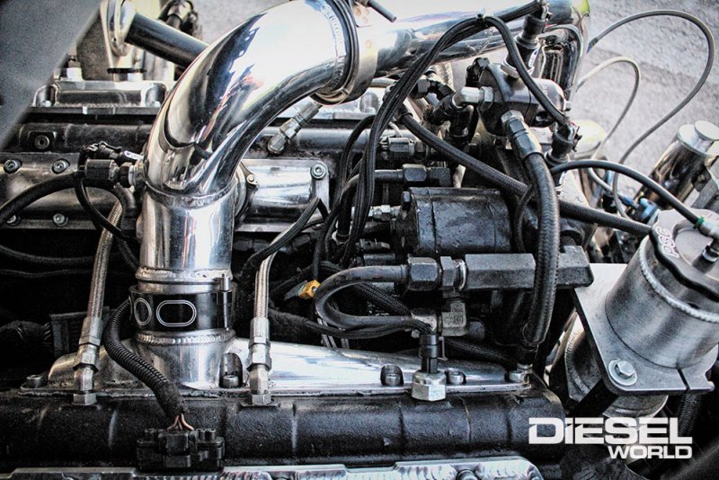 Dinosaurs Aren’t Extinct - Diesel World