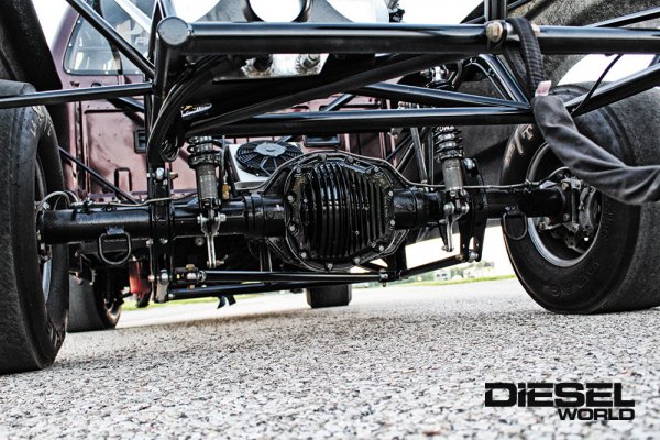 Dinosaurs Aren’t Extinct - Diesel World