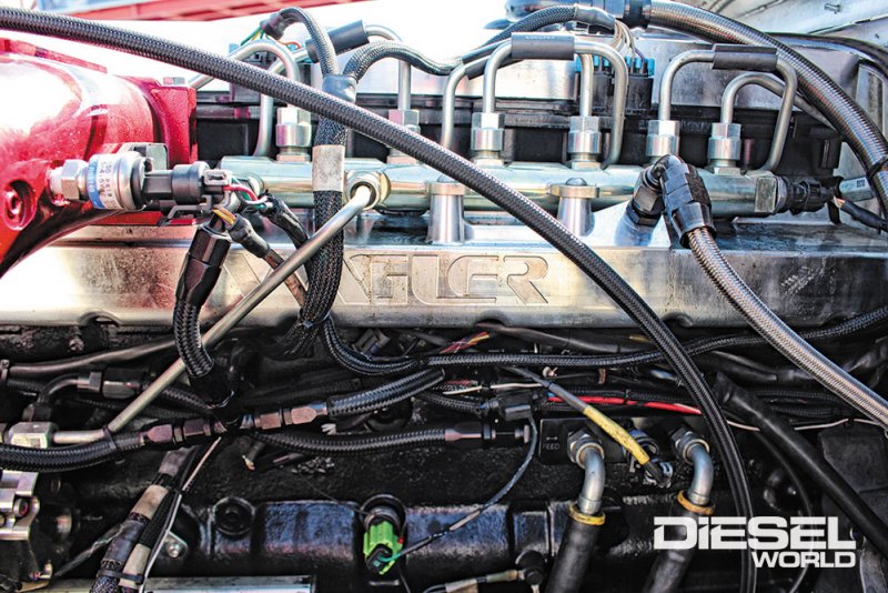 Danny Diesel… - Diesel World