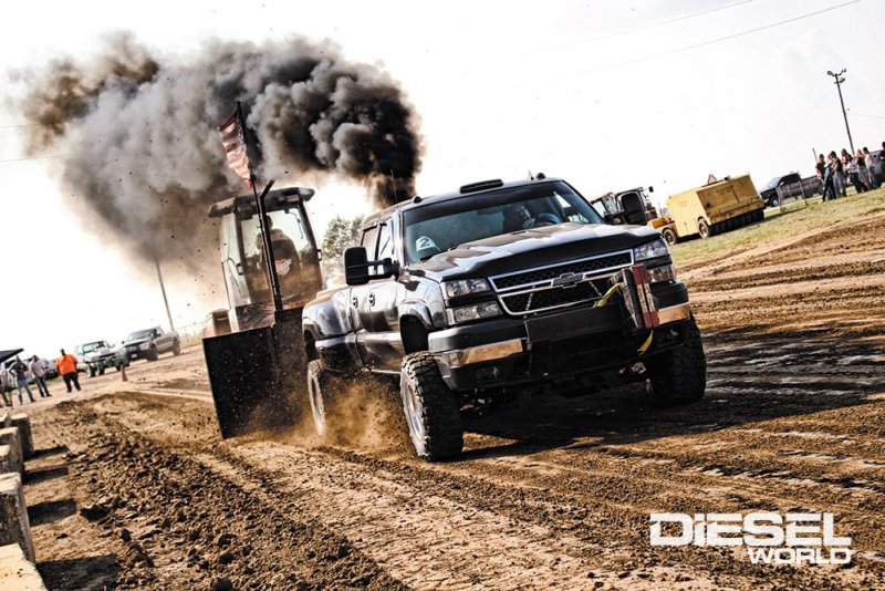Work Stock Shootout - Diesel World