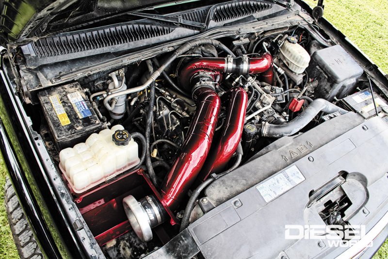 Work Stock Shootout - Diesel World