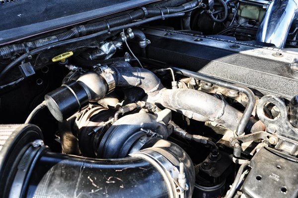 Shell Rotella Trucks of the Month: DOUBLE FEATURE