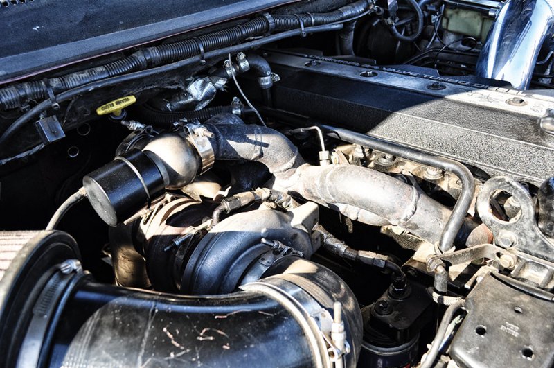 Shell Rotella Trucks of the Month: DOUBLE FEATURE