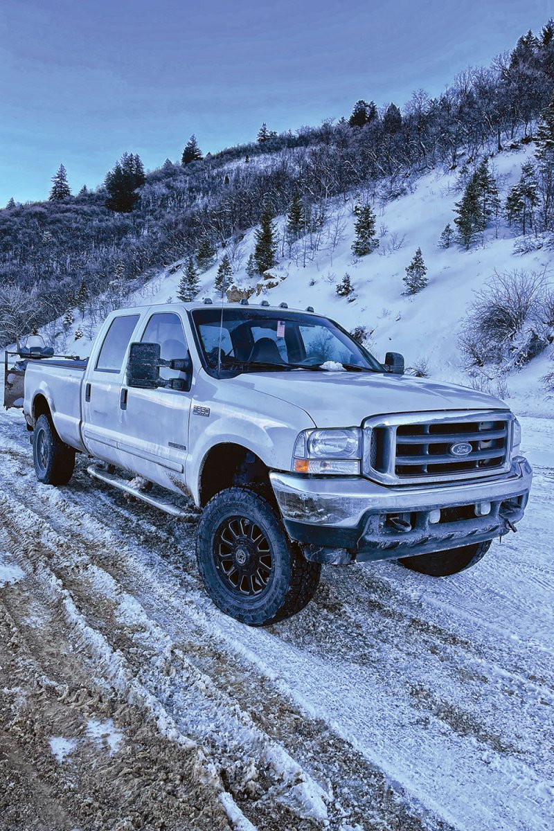 Which Are the Best Diesel SUVs in 2026? Cost and Performance Reviewed ...