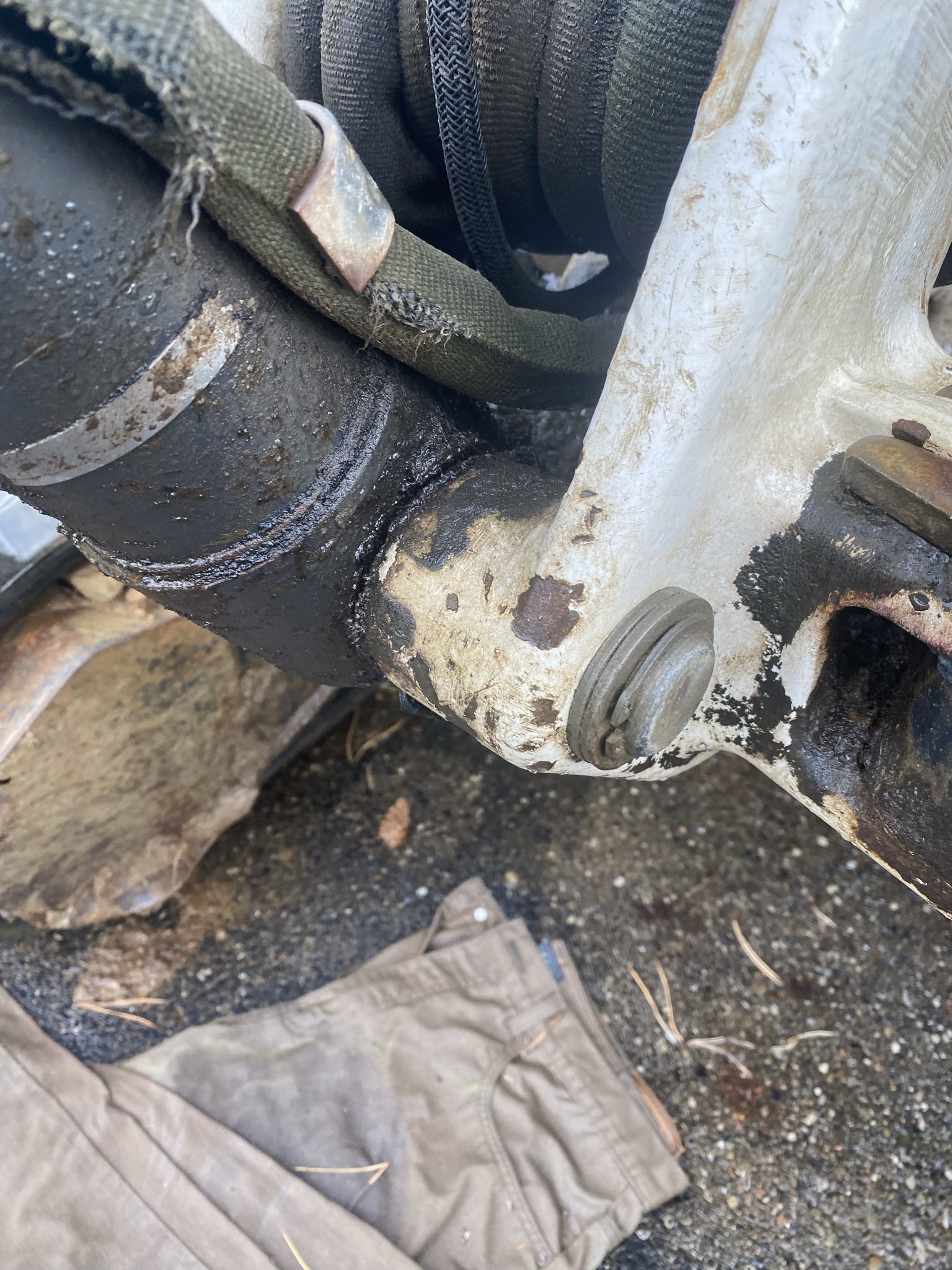 Diesel World Reader’s Rides: Shell Rotella – Truck of the Month ...